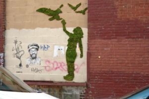 Moss Graffiti: 3 métodos para criar o grafite com musgo - greenMe