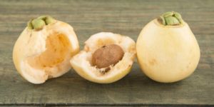 Jambo - a Fruta de MIL Benefícios! - GreenMe.com.br