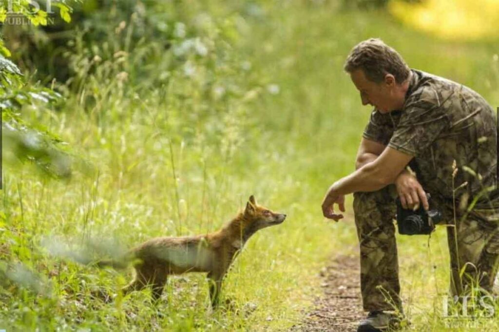 Só tem no Brasil: conheça a Raposinha-do-Campo e a Cidade das Raposas ...
