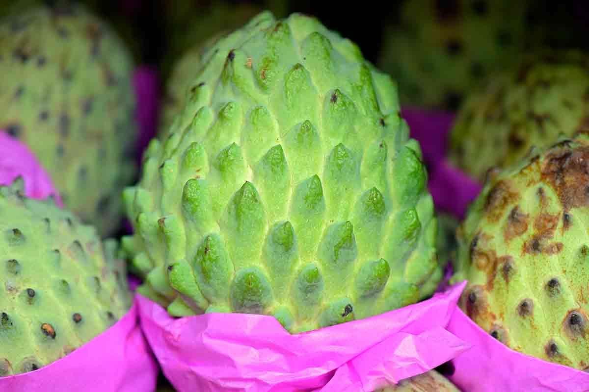 Atemoia - benefícios e como usar essa fruta tão saborosa - greenMe