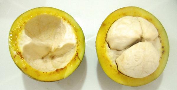 BACURI: Fruta Antioxidante e Anti-Inflamatória! *Descubra AQUI* - greenMe