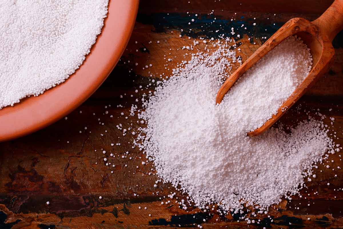 Bejú, beiju ou biju: conheça esse alimento milenar indígena, que deu ...