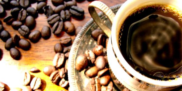 Café do Jacu: o que é, como é produzido, por que custa caro? - greenMe