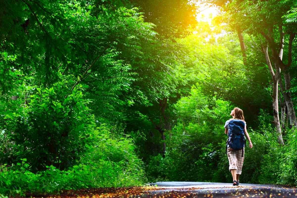 Caminhar pode nos tornar mais criativos e felizes - greenMe