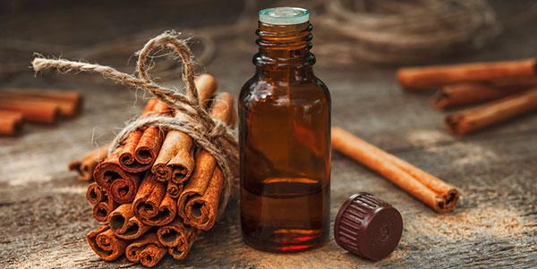 Canela: diferencie a verdadeira da falsa e aprenda sobre os usos de ...