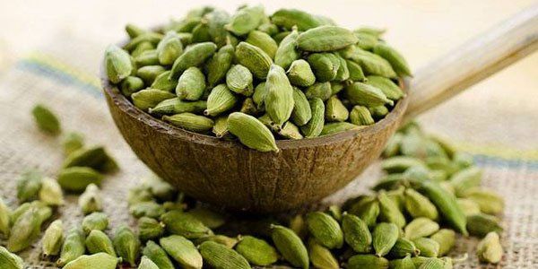 Cardamomo: como usar, propriedades e contraindicações - greenMe