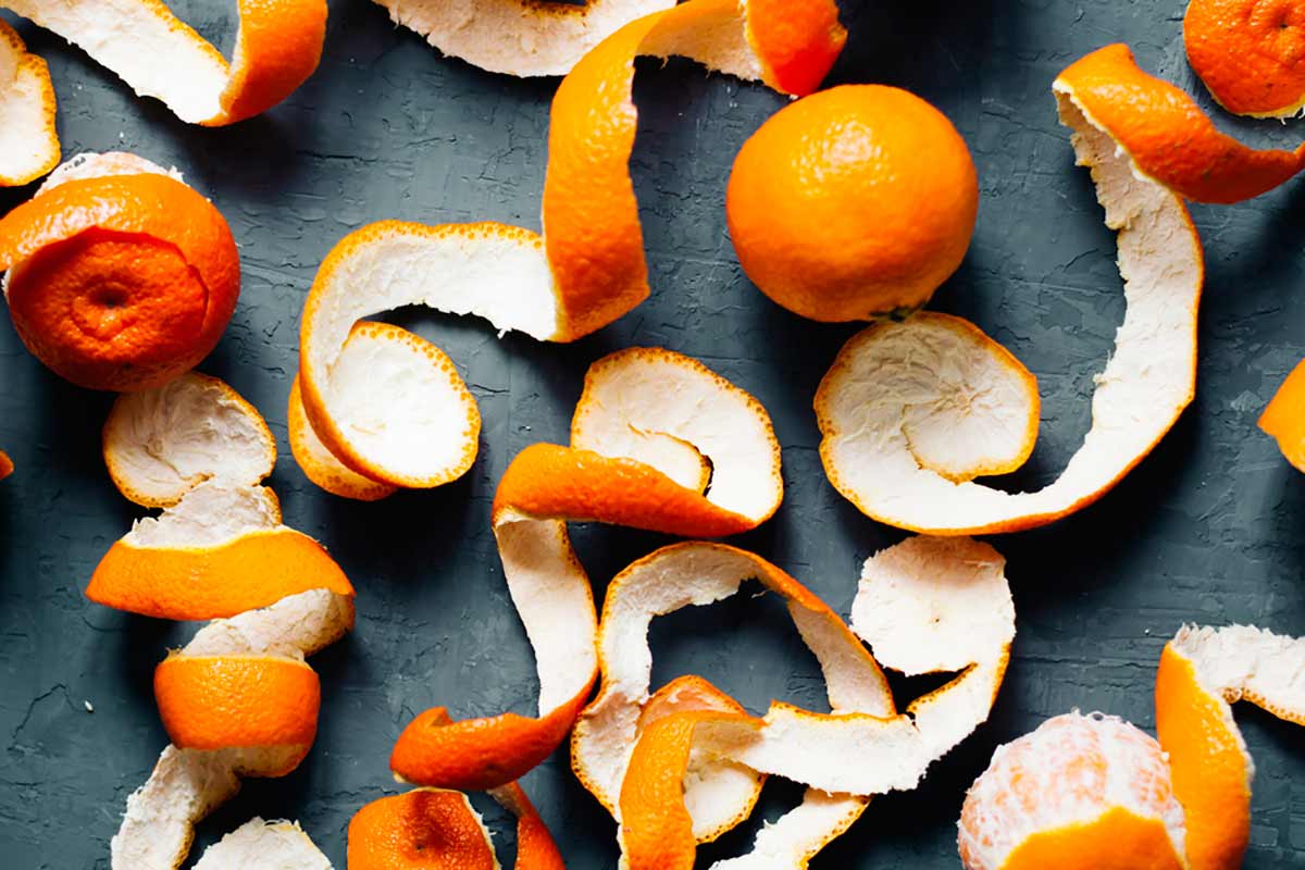 Laranja-Kinkan: como cultivar e cuidar. Dicas fáceis para todos! - greenMe