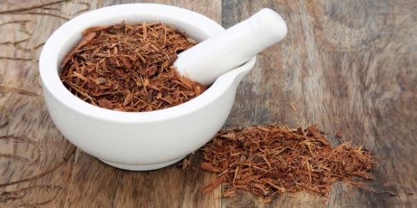 Catuaba - conhece? Vamos falar da planta, e claro, da bebida - greenMe