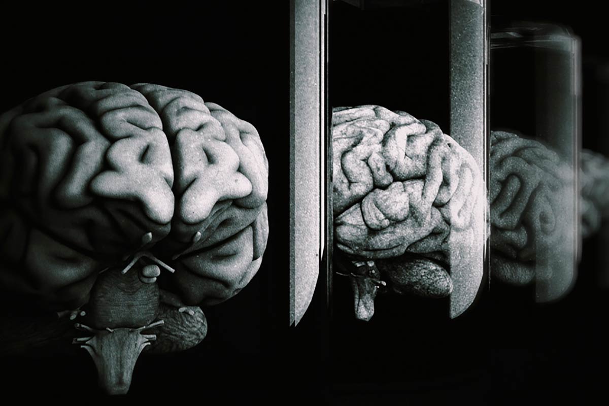 Comportamentos transgressores vistos desde a infância. A ciência no ...