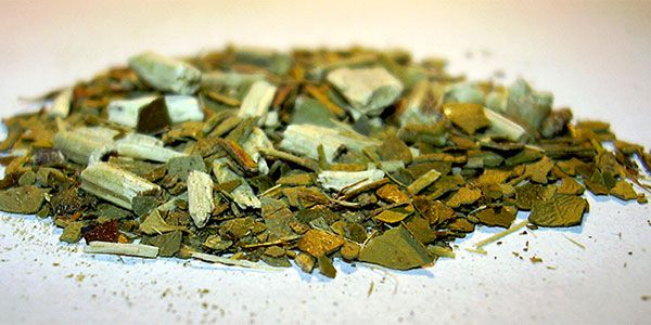 Chá mate: todos os benefícios - greenMe