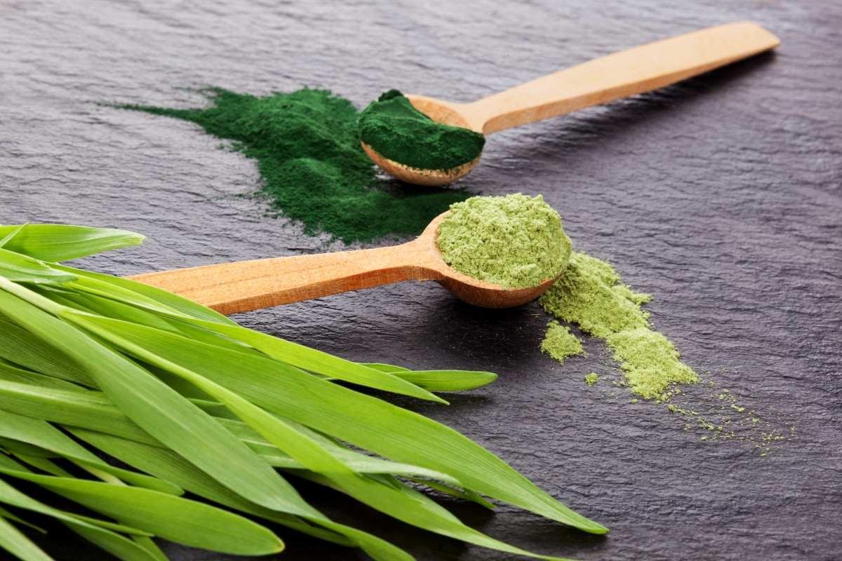 Conheça as propriedades e os benefícios da Chlorella e saiba como usá ... Conheça as propriedades e os benefícios da Chlorella e saiba como usá ...