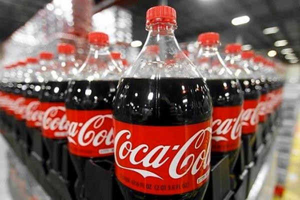 Chá de Folha de Coca - Uso Tradicional Andino. Conheça seus Efeitos ...