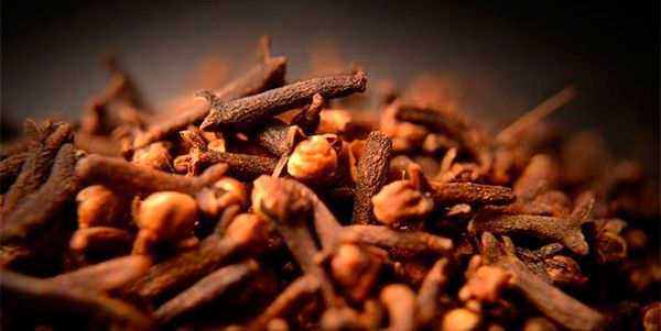 Cravo-da-índia: usos e benefícios - greenMe