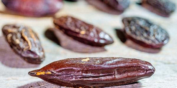 Cumaru, a árvore perfumada! Benefícios e como usar - greenMe