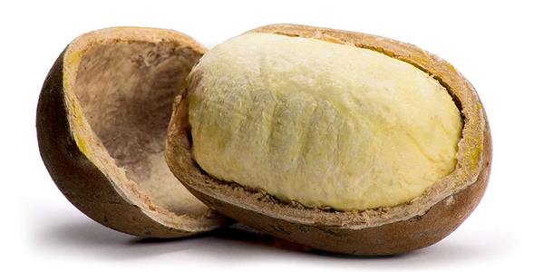 Cupulate: o chocolate de cupuaçu desenvolvido pela Universidade Federal ...