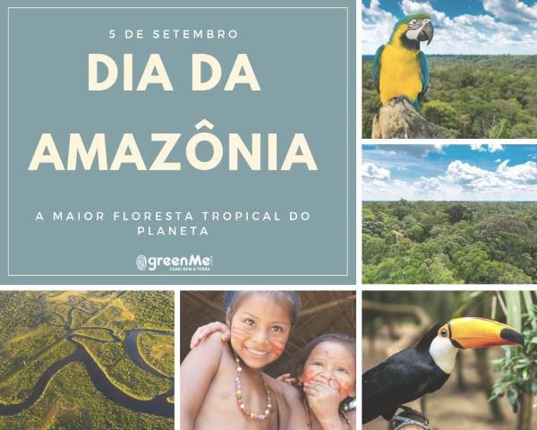 5 de setembro é Dia da Amazônia, a maior floresta tropical do planeta ...