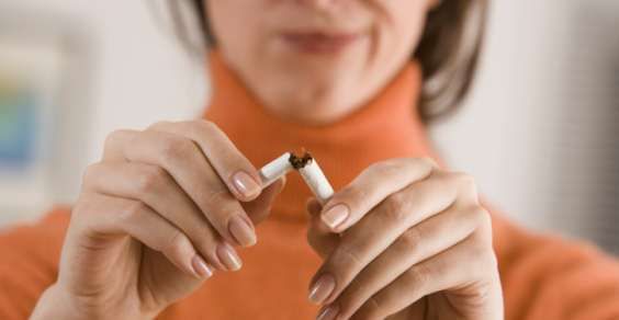 Tabaco: Origem, História, Cultivo, Usos e Riscos - greenMe