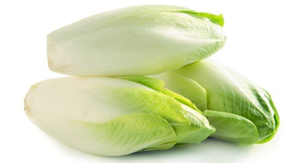 Endívia: propriedades, beneficios e como usar na cozinha - greenMe