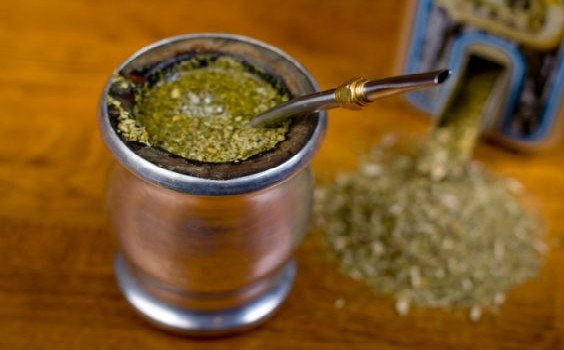 Conheça todos os benefícios da erva-mate e aproveite! - greenMe