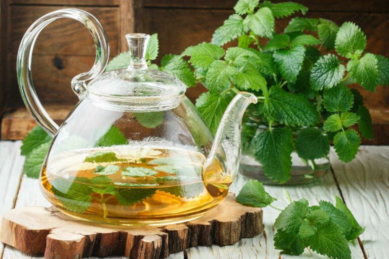 Erva-cidreira: propriedades, benefícios e como fazer o chá - GreenMe