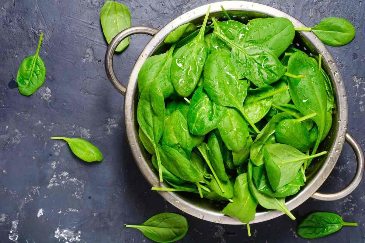 Espinafre e seus benefícios - greenMe