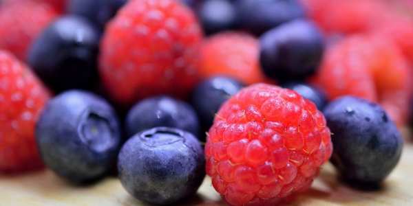 O segredo para emagrecer está nos frutos do bosque e no vinho tinto ...