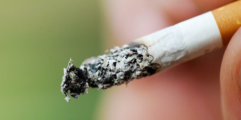 Tabaco: Origem, História, Cultivo, Usos e Riscos - greenMe