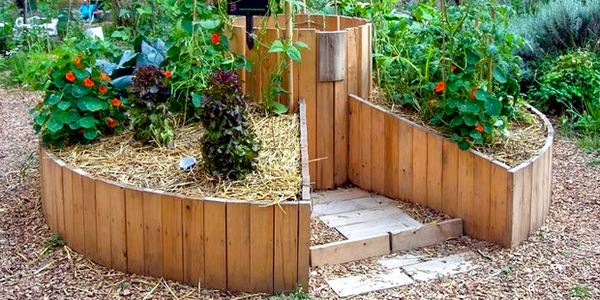 Horta circular - como aproveitar melhor a água, o solo e o sol - greenMe