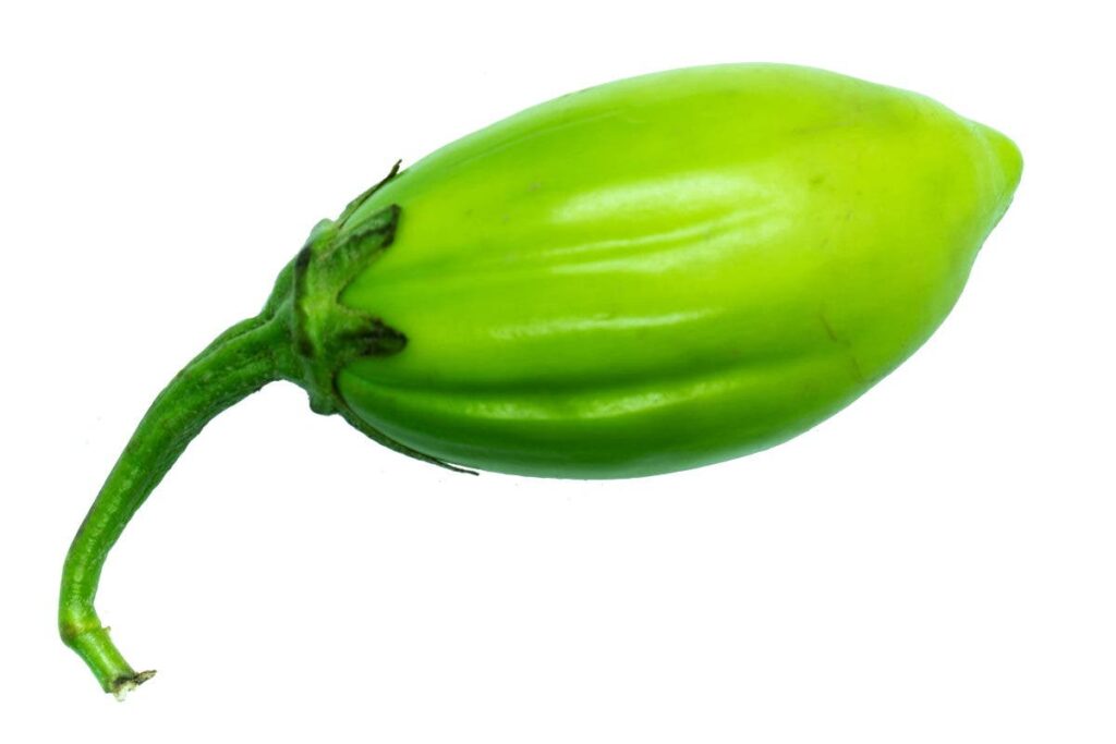 JILÓ: o amargo que faz bem! Veja Benefícios, Contraindicações e ...