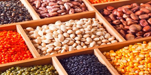 2016 é o Ano Internacional das Leguminoas - greenMe