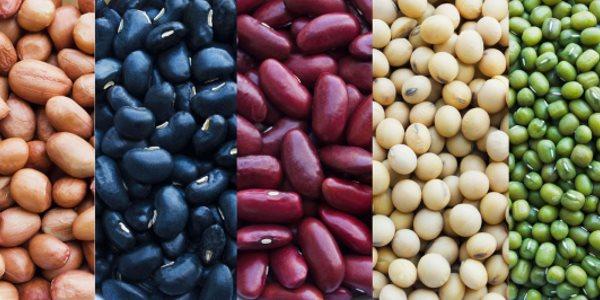 As 5 leguminosas MAIS SAUDÁVEIS do Planeta - greenMe