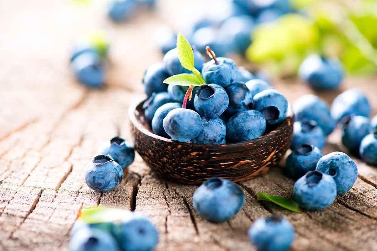 Mirtilo → 1001 Propriedades e Benefícios Para sua Saúde - greenMe