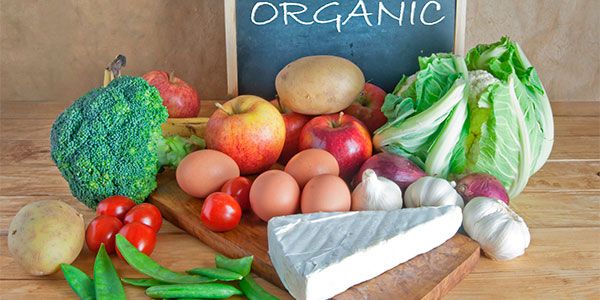 Como reconhecer se o alimento é mesmo orgânico? - greenMe