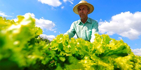 Tudo sobre orgânicos: entrevistamos a Organics Brasil - greenMe