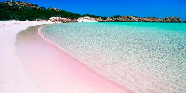 Turista arrependia devolve areia cor-de-rosa de praia protegida - greenMe