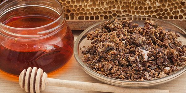 Própolis: propriedades, usos e alternativas vegetais - greenMe