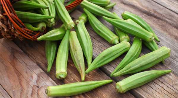 Quiabo: benefícios e malefícios. Como usar na cozinha - greenMe