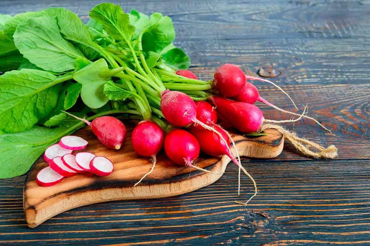 Rabanete → Os Benefícios, Os Usos Medicinais e 1 Receita Muito Simples ...