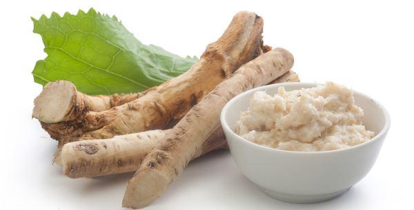 Raiz Forte e Wasabi: Usos Medicinais, Benefícios e Como Usar Na Cozinha ...