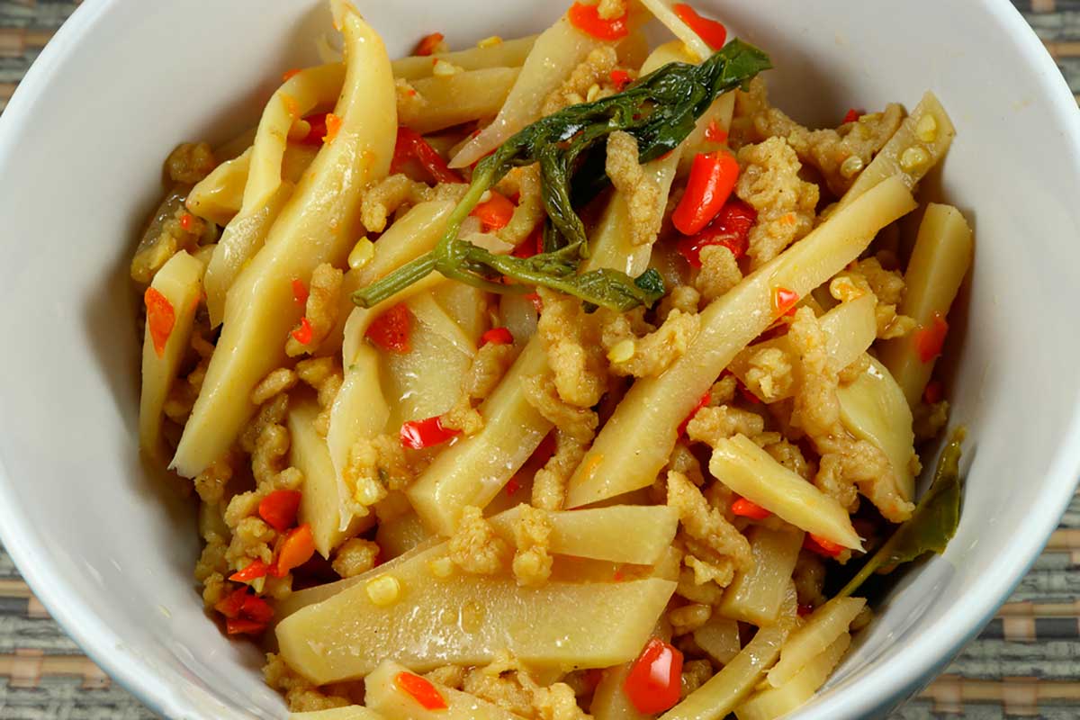 Bambu, benefícios, qualidades, usos e outros que tais - greenMe