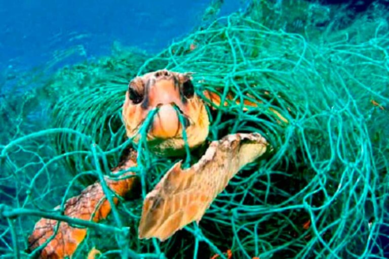 Pesca fantasma: o inimigo que assombra mares e oceanos - greenMe