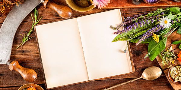 Receitas da vovó: remédios caseiros que funcionam - greenMe