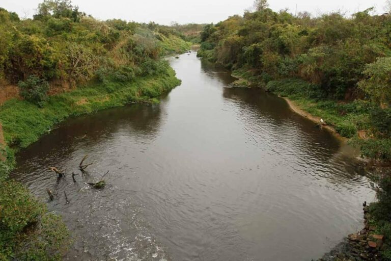 O que é Erosão? Quais as causas, consequências e como evitar? - greenMe