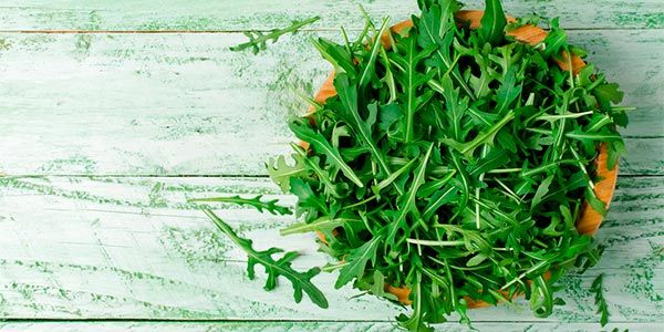 Rúcula: os incríveis benefícios que talvez você não saiba - greenMe