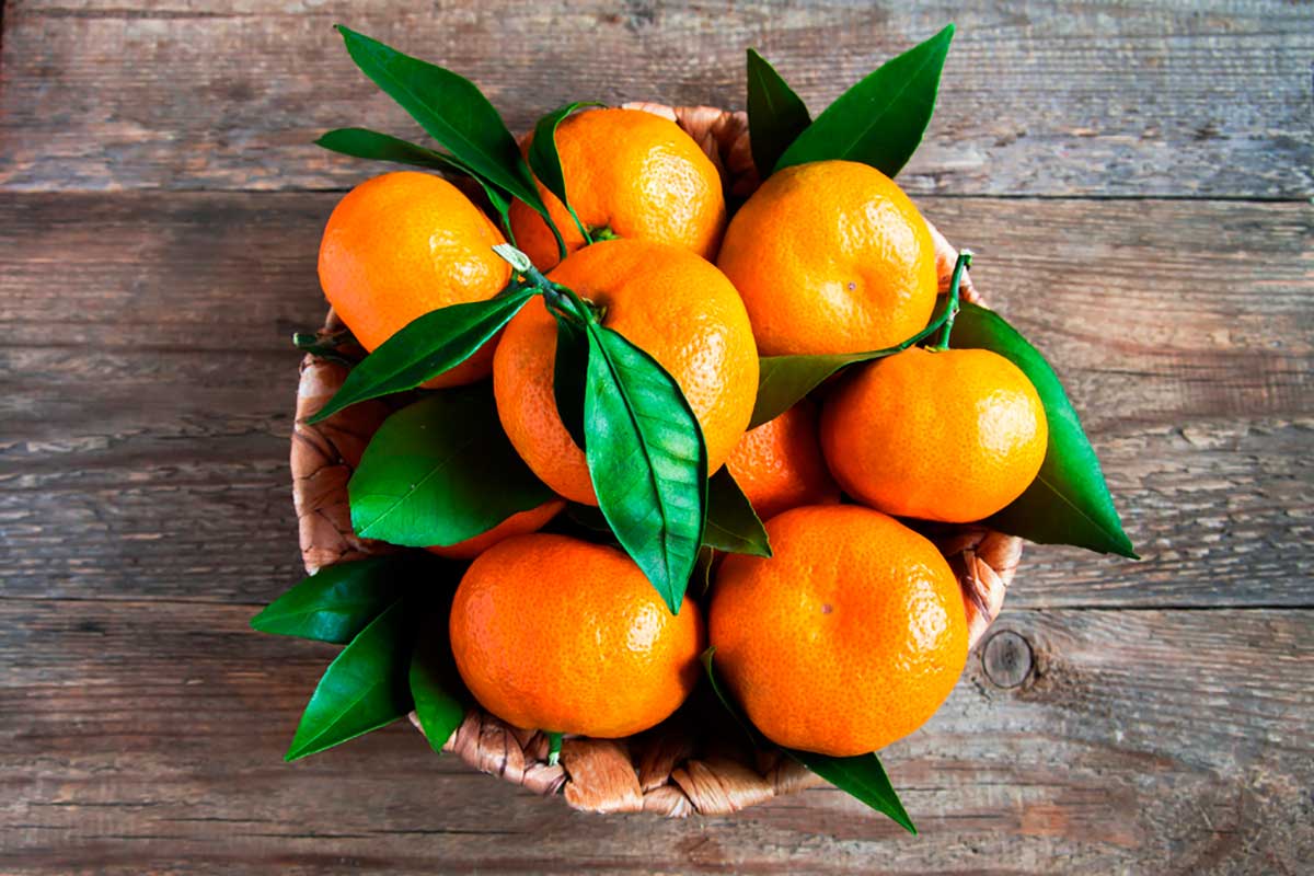 Tangerina, mexerica: conheça diferenças, benefícios e receitas - greenMe
