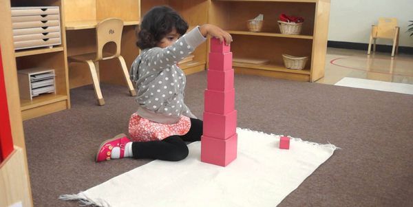 Torre Rosa Montessori - como fazer e porque usar - greenMe