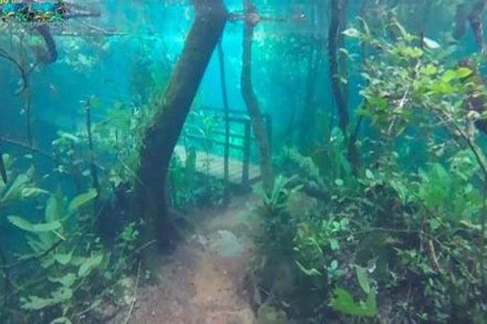 A surpreendente trilha submersa no Recanto Ecológico Rio da Prata ...