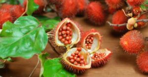 Urucum: Benefícios, Propriedades Medicinais e Usos Surpreendentes - greenMe