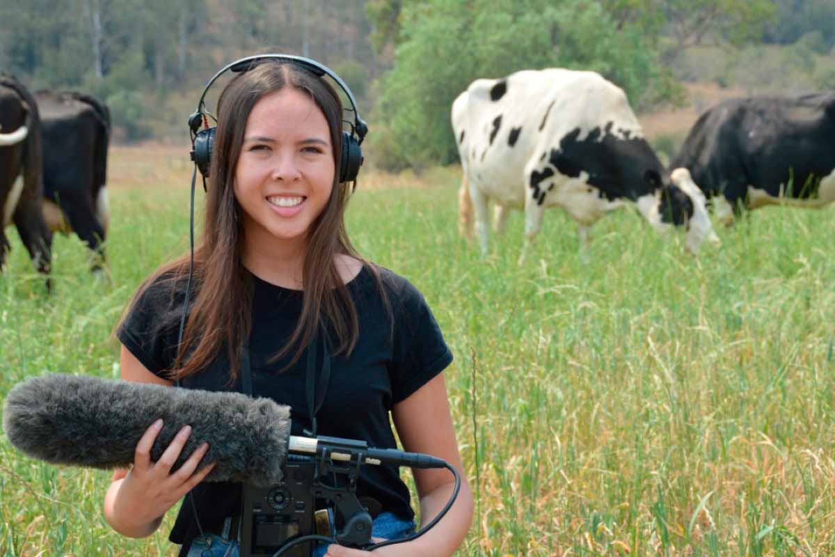 Pesquisa revela: as vacas conversam e têm um "vocabulário próprio ...