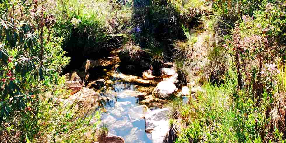Nascente do Rio São Francisco volta a jorrar água - greenMe